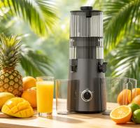 China Fresh Smart HJ103A Everyday Slow Masticating Juicer — Designed for Daily Use for sale