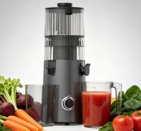 China Fresh Smart HJ103A Roots Slow Masticating Juicer — Back to What Matters for sale