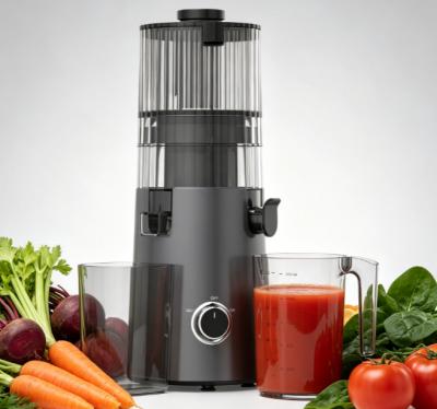 China Fresh Smart HJ103A Roots Slow Masticating Juicer — Back to What Matters for sale