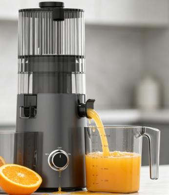 China Fresh Smart HJ103 Basic Slow Masticating Juicer — The Basics, Done Right for sale