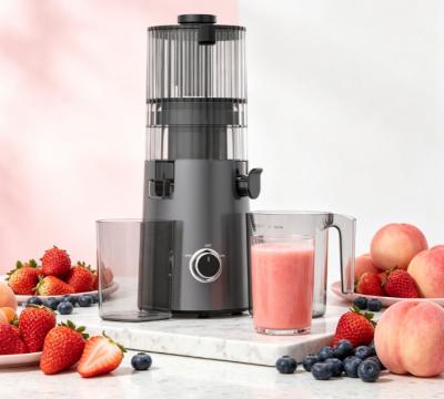 China Fresh Smart HJ103 Enough Slow Masticating Juicer — It Doesn't Need to Be More Than It Is for sale