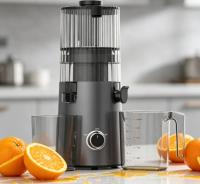 China Fresh Smart HJ103 Yours Slow Masticating Juicer — The One That Feels Like It Belongs for sale