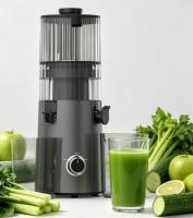 China Fresh Smart HJ103 Back Slow Masticating Juicer — Back to What Juice Should Be for sale