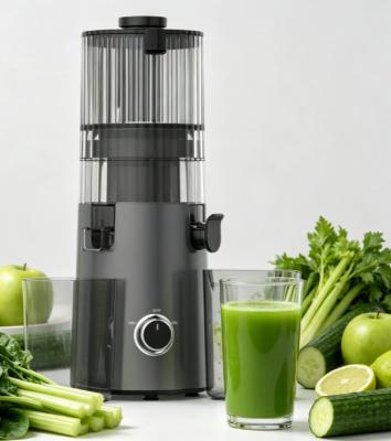 China Fresh Smart HJ103 Back Slow Masticating Juicer — Back to What Juice Should Be for sale