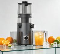 China Fresh Smart HJ103 Whole Slow Masticating Juicer — From Whole Fruit to Whole Juice for sale