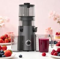 China Fresh Smart HJ103 QuietSpin Slow Masticating Juicer — So Quiet, You'll Forget It's Running for sale