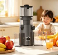 China Fresh Smart HJ103 Slow Masticating Juicer — For People Who Actually Use Their Kitchen for sale