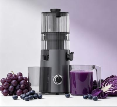 China Fresh Smart HJ103 Slow Masticating Juicer — For Everyday Juice, Without the Fuss for sale