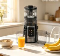 China Multi Program Household Juicer HJ102D Large 1L Juice Container for sale