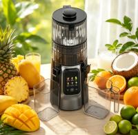 China HJ102D All-in-One Juice Machine, Makes Ice Cream, Smoothies & Fresh Juice for sale