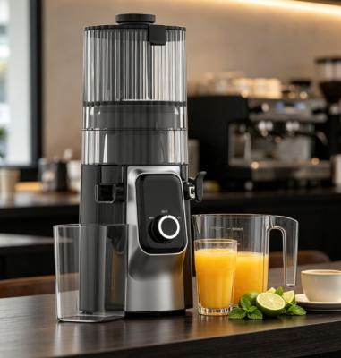 China 200W Low Noise Juice Extractor HJ102C for Family & Small Beverage Shop for sale