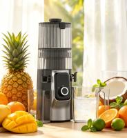 China Compact Countertop Juice Maker HJ102C, High Yield Vegetable Fruit Squeezer for sale