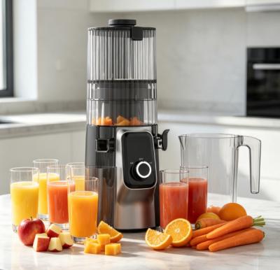 China 200W DC Motor Masticating Juicer HJ102C, Easy Disassembly Home Fruit Vegetable Juicer for sale