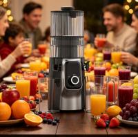 China Durable ABS Body Slow Juicer HJ102C, Anti-Oxidation Fruit Veg Extractor For Daily Healthy Drinks for sale
