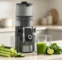 China Fresh Smart HJ102C Whole Fruit Slow Juicer — 135mm No-Prep Feed Chute, 200W Motor, Easy Clean Design for sale