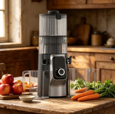 China HJ102C 135mm Wide Mouth Filter-Free Slow Masticating Juicer, Low Noise Easy Clean Fruit Veg Juice Maker for sale