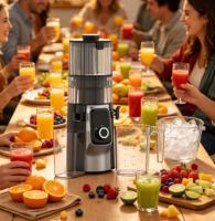China 135mm Wide Mouth Filter-Free Slow Masticating Juicer HJ102C, Low Noise Easy Clean Cold Press Juice Extractor for Household Daily Use for sale