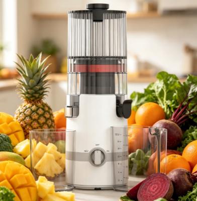 China Fresh Smart HJ102B Cold Press Slow Juicer Machine — Whole Fruit Extractor with 200W DC Motor for sale
