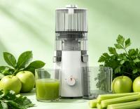 China HJ102A Multi-Function Slow Juicer – Juice, Smoothie, Ice Cream Compatible, 55 RPM Low Speed, BPA-Free for sale