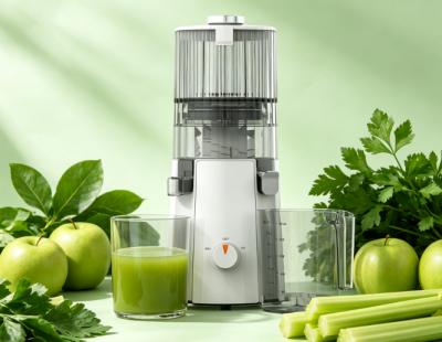 China HJ102A Multi-Function Slow Juicer – Juice, Smoothie, Ice Cream Compatible, 55 RPM Low Speed, BPA-Free for sale