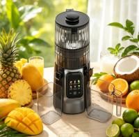 China HJ102D White Multi-Function Slow Masticating Juicer – 6 Modes, 135mm Wide Chute, 200W, 1000ml Juice Cup, <70dB for sale