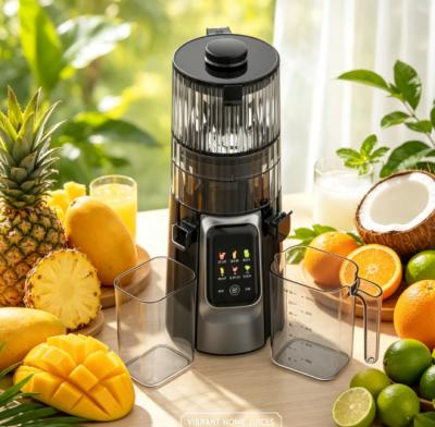 China HJ102D White Multi-Function Slow Masticating Juicer – 6 Modes, 135mm Wide Chute, 200W, 1000ml Juice Cup, <70dB for sale