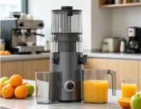 China HJ102A Black Slow Masticating Juicer – 135mm Wide Chute, 200W Motor, 1000ml Juice Cup, <70dB Quiet Operation for sale