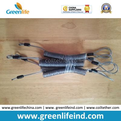 China Custom Size Line Dia 3mm Coil Dia 15mm Transparent Black Wire Rope Leash for sale
