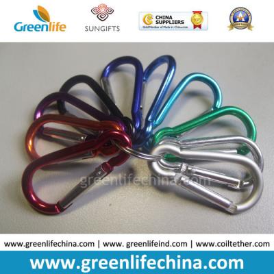 China Cheap metal carabiner in various shapes in various colors hot selling standard holder hook for sale