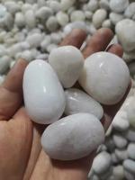 China 30mm Natural River Stone Pebbles for sale