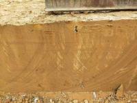 China Modern Elegant Natural Sandstone Slabs Golden Color Eco Friendly for sale