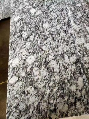 China Sea Wave Flower Chinese Grey Granite Stone Tiles For Flooring Walls 10-20mm for sale