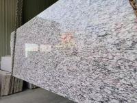 China Customized Grey Granite Floor Tiles  Granite Paving Tiles Abrasion Resistance for sale