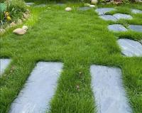 China Eco Friendly Natural Slate Outdoor Tiles Honed  4x12 Slate Tile for sale