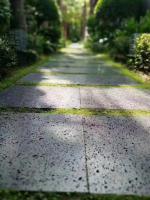 China Square Honed Dark Grey Volcanic Rock Floor Tiles For Exterior Paving for sale
