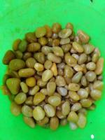 China Frost Resistant Natural Pebble Stone Decorative Pebble Stones Multicolor for sale
