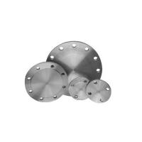 China Gr2 Gr5 Titanium Blind Flange – ASME B16.5 Class 300 Raised Face for Corrosion Resistant Pipelines for sale