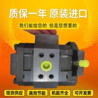 China PGH3-1X/010		PGH5-3X/200RR07VU2 RexrothPGHseriesgearhigh-pressureoilpumpductileiron for sale
