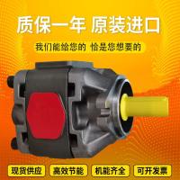 China PGH5-2X/250RE07VE4		PGH4-2X/025RR18VU2 OriginalRexrothPGHseriesgearpumpcoalminesteelplantexcavator for sale