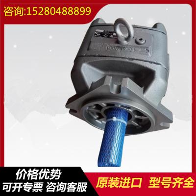 China PGH5-3X/250RE07VE4PGH5-3X/063RE11VE4 Rexroth Gear Pump CastIron High Pressure Steel Plant Coal Mine for sale