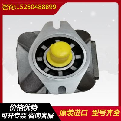 China PGH3-1X/013RE47ME4 PGH4-2X/020RF11VK0 Rexroth PGH Series Gear High-Pressure Oil Pump Ductileiron for sale