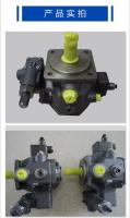 China PVV1-1X/046RA15UVB Rexroth PV series variable vane pump for sale