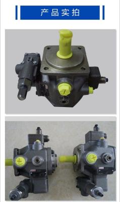 China PVV1-1X/046RA15UVB Rexroth PV series variable vane pump for sale
