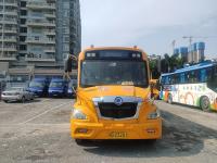 China ShenLong Used School Buses 36 Seats LHD Steering Position Diesel Fuel Type for sale