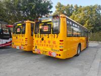 China 56 Seats Diesel Engine LHD KLQ6106XQE4 Used School Bus Made in with YC6J200-42 Engine for sale