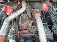 China 56 Seats Diesel Engine LHD KLQ6106XQE4 Used School Bus Made in with YC6J200-42 Engine for sale