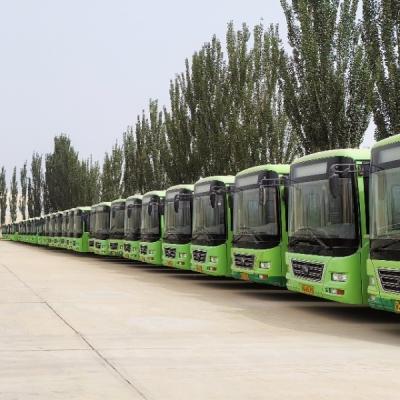 China Durable 8 Meter Used Diesel Buses Ideal for City and Shuttle Routes for sale