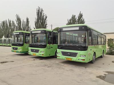 China 2017-Year Used 8-Meter Left-Hand Drive (LHD) City Bus with 2-Step Entry Design and 3800cc Engine Displacement for sale