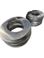 China Stamping Metal Circular Disc with Center Hole | OEM Sheet Metal Parts for Motor, Transformer, Machinery & Industrial Applications for sale