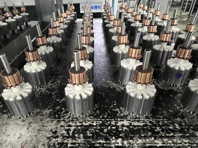 China High-Quality Rotor Armature – Low Noise, Strong Magnetic Conductivity, Reliable Operation, Versatile Application for sale